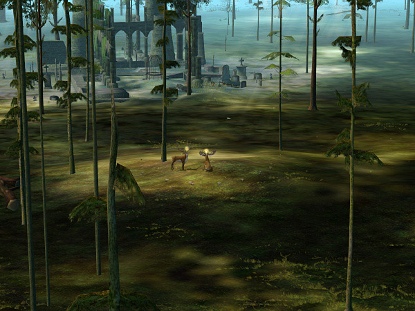 The Endless Forest - fasrdev